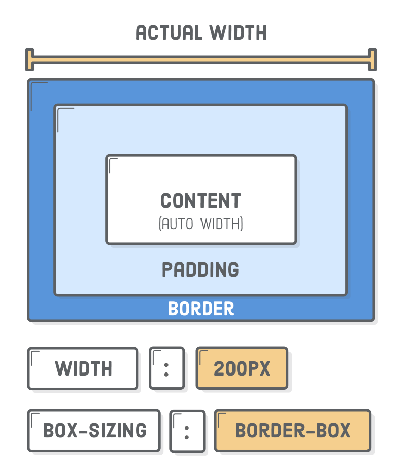 CSS Box Model Tutorial HTML CSS Is Hard